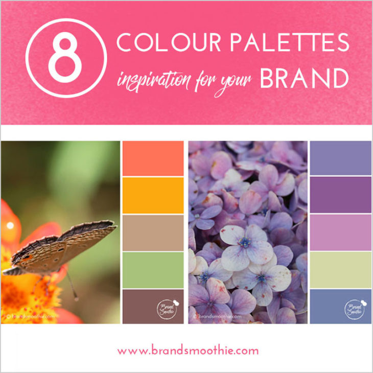 8 Colour palettes inspiration for your brand - Brand Smoothie